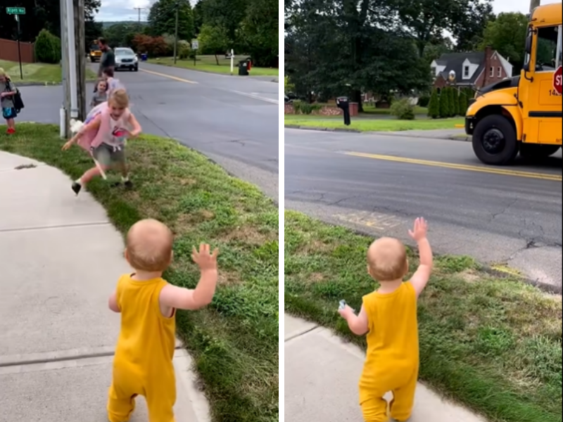 Baby Waving to the Bus Driver Brightens Everyone’s Day - Istori.Website